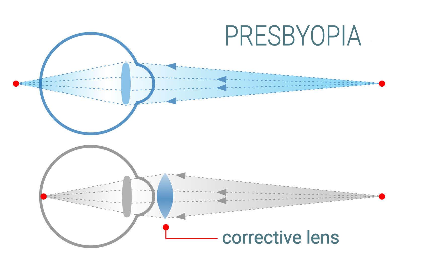 How do we see? - Viewpoint Optometrist